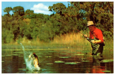 Prize Catch Fly Fishing In Erinsville Ontario Canada Fishing Postcard Posted | eBay