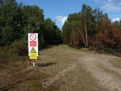 Photo 6x4 Pirbright Ranges Heatherside Trackways just inside the fence ...
