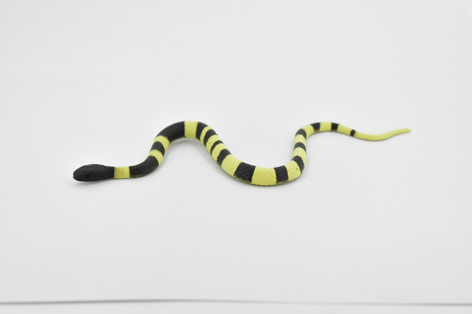 Banded Krait Snake, Rubber Reptile, Realistic Model Toy Hand Painted 6 ...