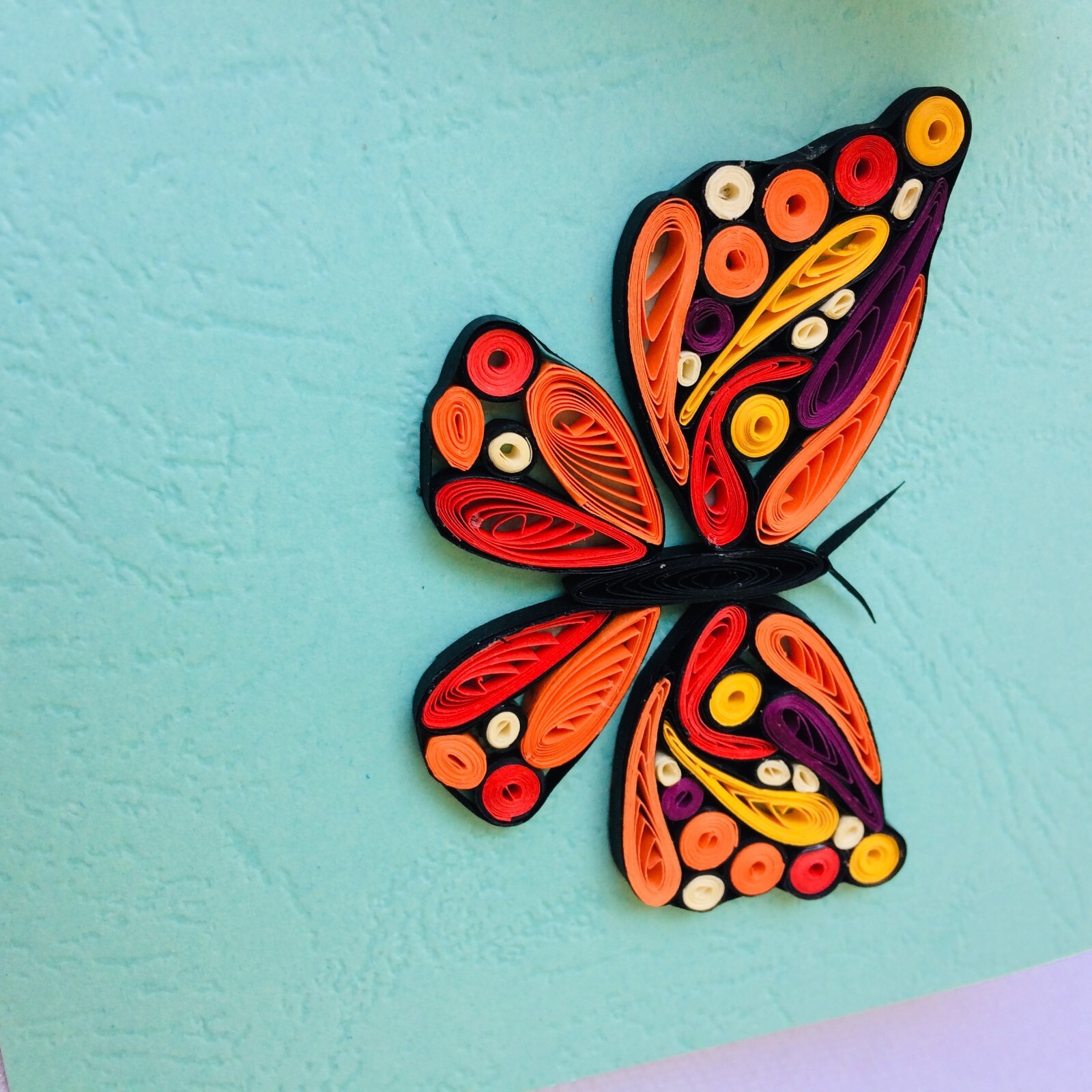 Paper Quilling colourful handmade Butterfly cards for making card, wall ...