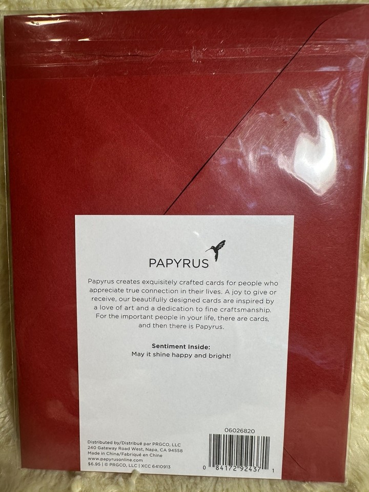 Papyrus Christmas Card 2020 Vellum Overlay Watercolor Ornaments Happy ...