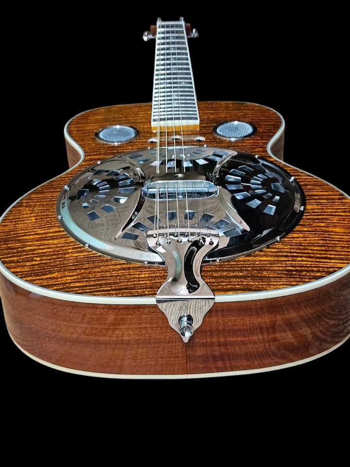 NEW GREAT PLAYING MAPLE FLAMED 12 STRING ACOUSTIC DOBRO RESONATOR ...
