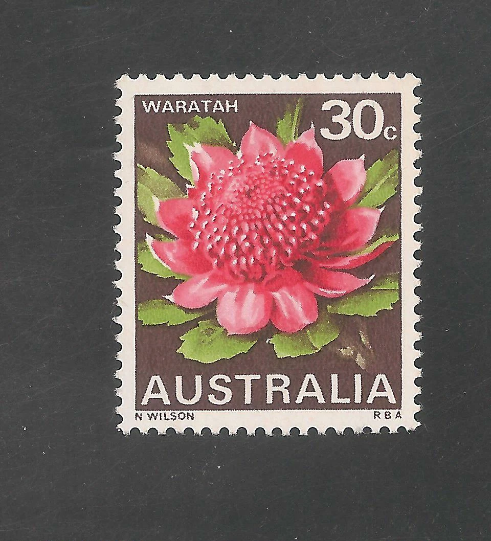 Flowers New South Wales Australia | Best Flower Site