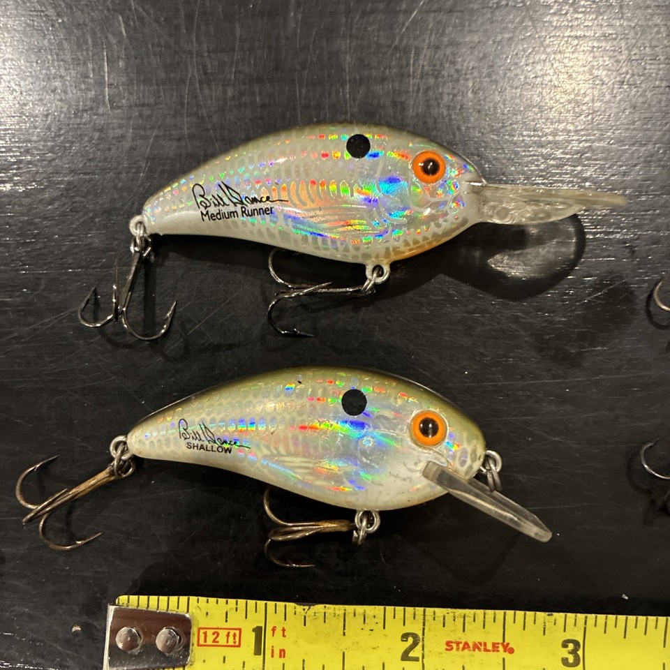 Lot Of 4 Vintage BILL DANCE FAT FREE FRY,Guppy,shallow CRANKBAIT LURES ...