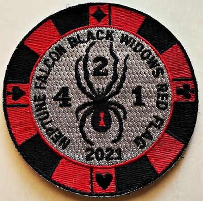 421st Fighter squadron Black Widows Red Flag 2021 US Air Force jacket ...
