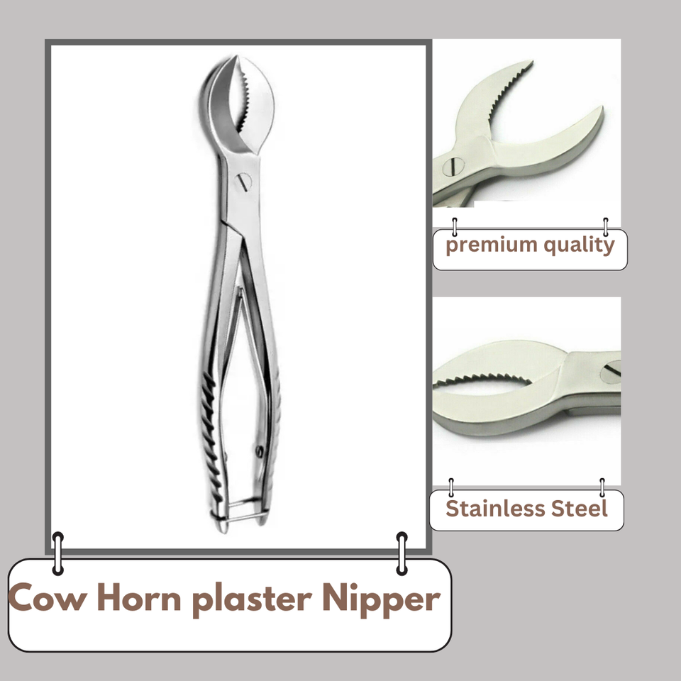 prof Cow Horn Plaster Nipper Surgical Dental Extraction Tool with ...
