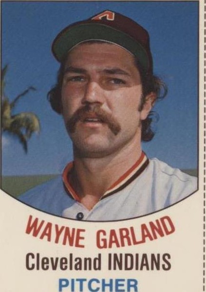 1977 Hostess All-Star Team - #144 Wayne Garland for sale online | eBay
