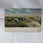 Vintage Canadian Scenes Postcard Farming Threshing | eBay