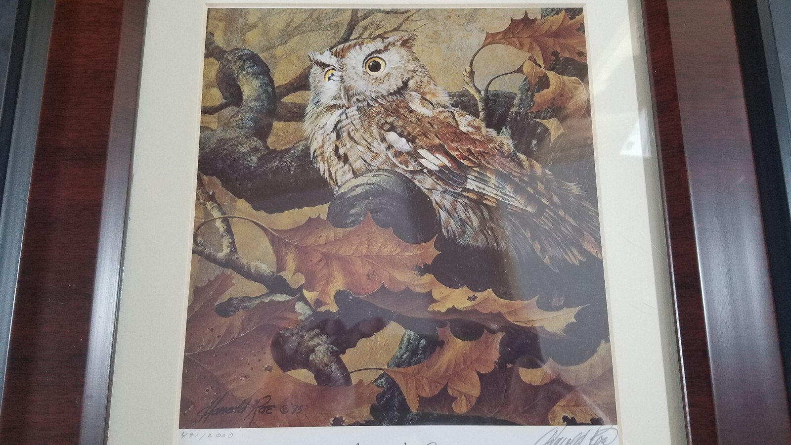 Harold Roe Autumn's Ghost Owl Print Signed And Numbered Ducks Unlimited ...