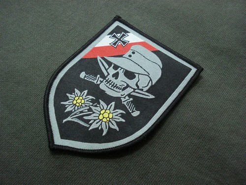 WW2 Edelweiss high altitude combat mountain soldier embroidery patch | eBay