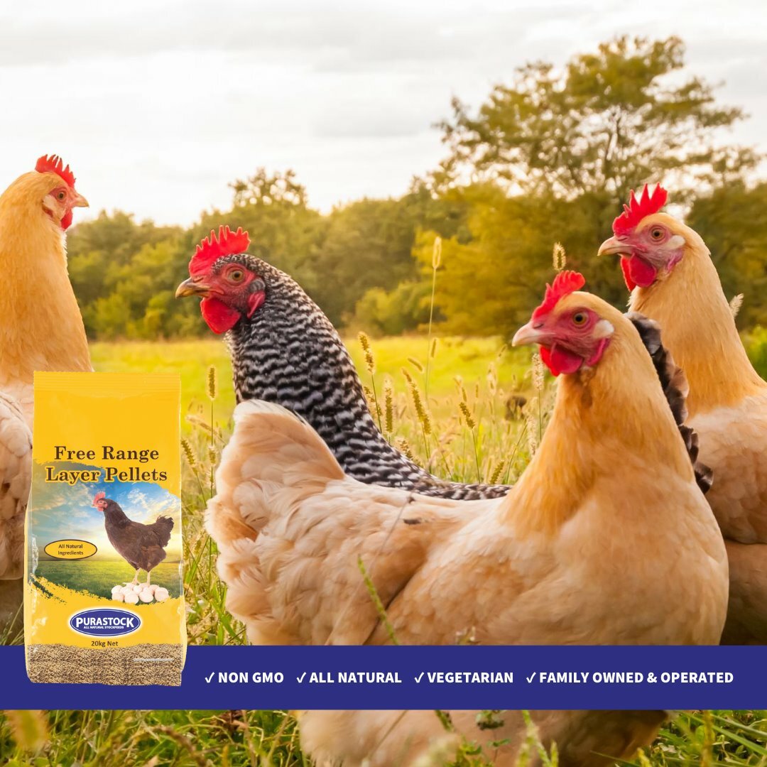 Purastock Free Range Layer Natural Poultry Pellets 20kg | eBay