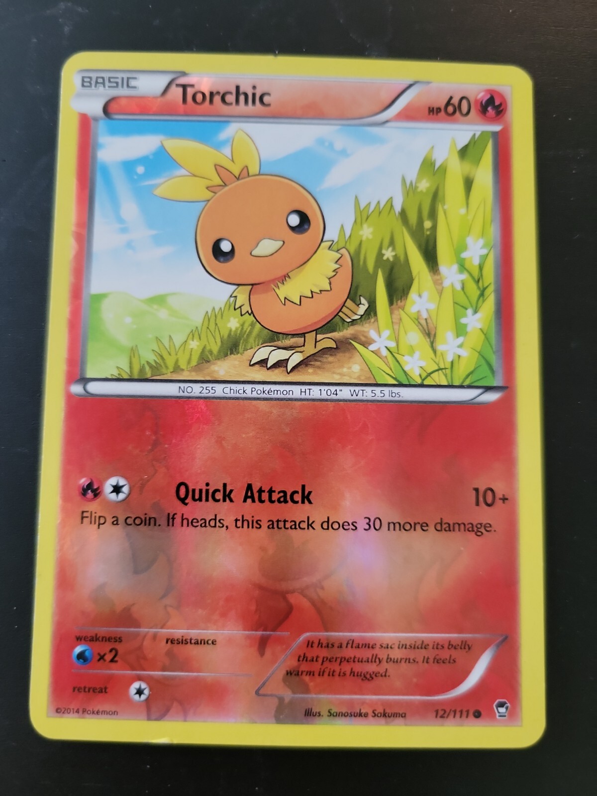 Pokemon TCG Card 2014 XY Furious Fists - Torchic 12/111 Reverse Holo | eBay