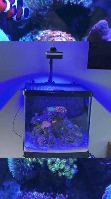 Led Lighting For Saltwater Reefs Smart Reef Coral Light Saltwater