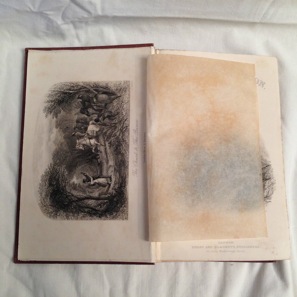 Martin F Tupper - Stephan Langton - 1st 1858, 2 vols, original cloth ...