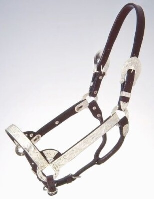 Dark Oil Silver Bar Horse Show Halter with Matching Lead Shank | eBay