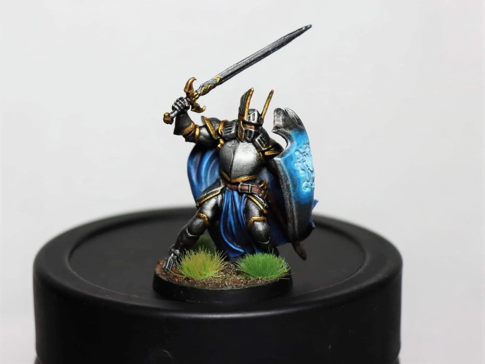 Human Holy Paladin with Sword and Shield Dungeons and Dragons Painted ...