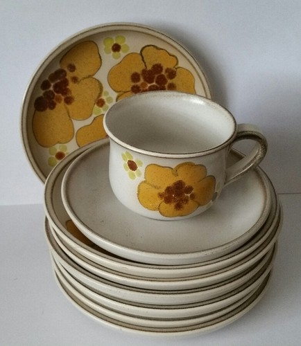 9 Pc Denby Minstrel Orange Yellow Flowers Floral Brown Trim Cup,Saucer ...