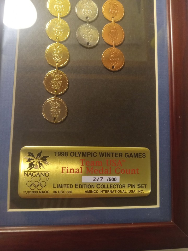 Nice! Limited Edition 1998 USA Nagano Winter Olympic Pin Set Framed 217 ...