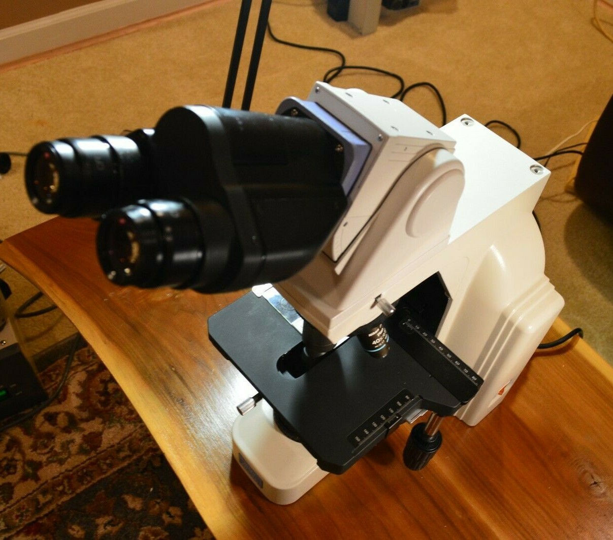 Nikon Eclipse E400 microscope with ergo head and 4 plan objectives | eBay