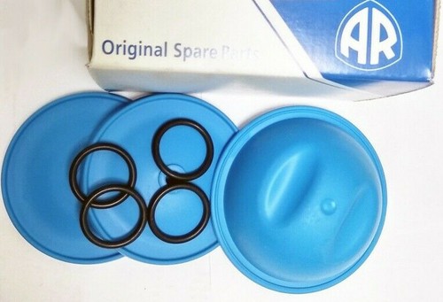 Hypro D50 Diaphragm Pump Repair Kit Kit 9910-KIT2111 | eBay