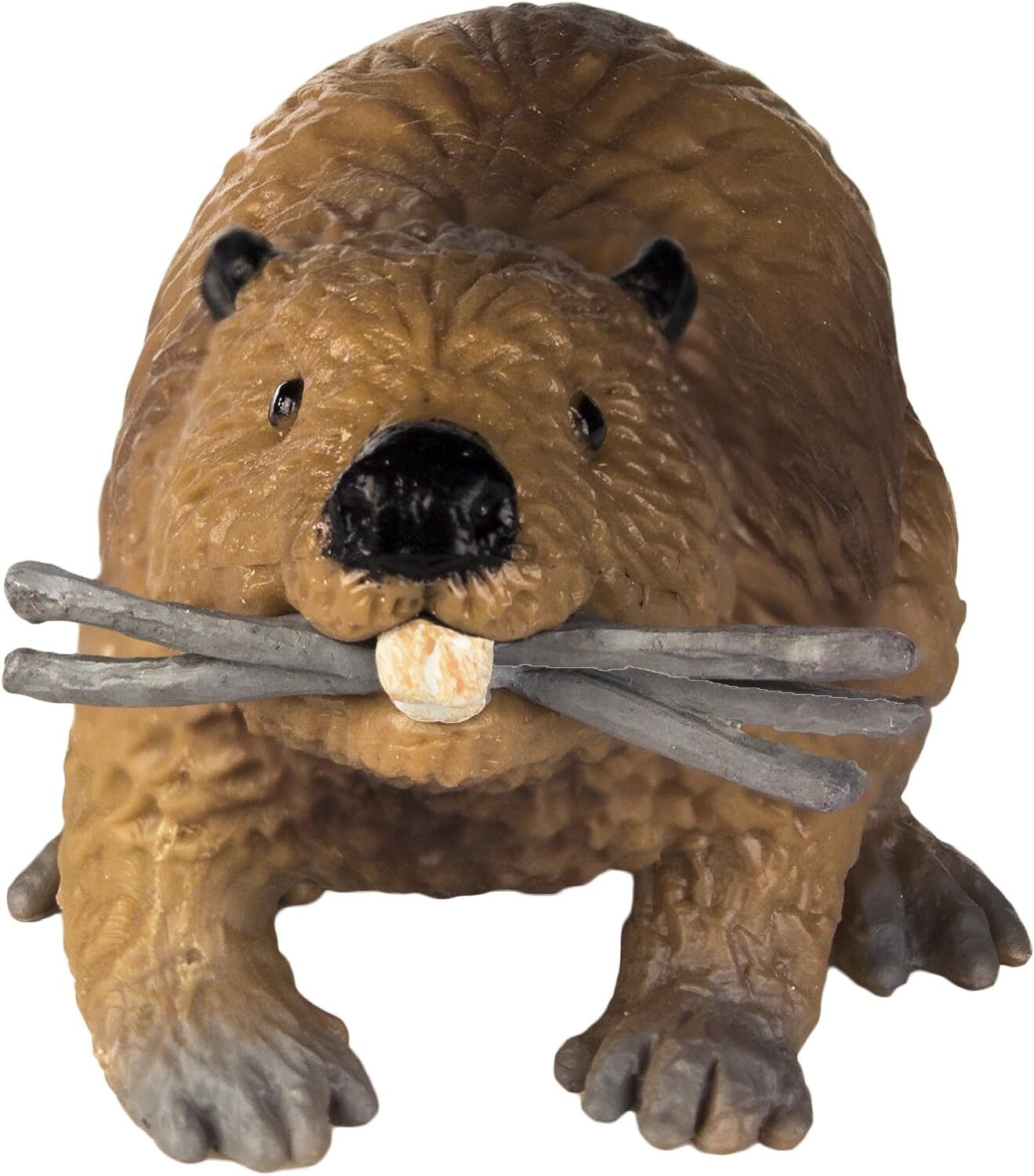 Safari Ltd. Beaver Figurine - Detailed 4" Plastic Model Figure - Fun ...