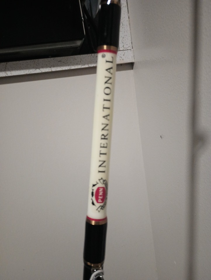Penn International fishing rod | eBay