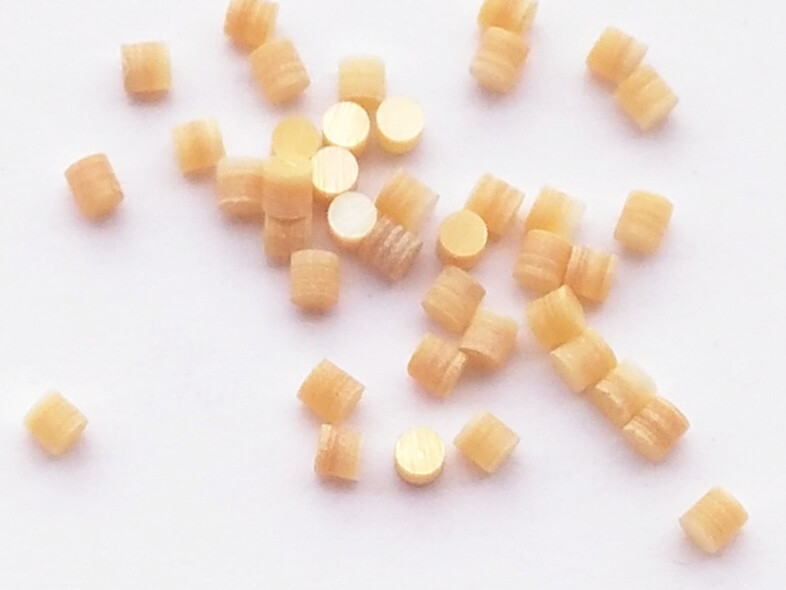 50x Guitar Golden Shell Pearl Inlay Dot Markers Bass Fret Fingerboard ...