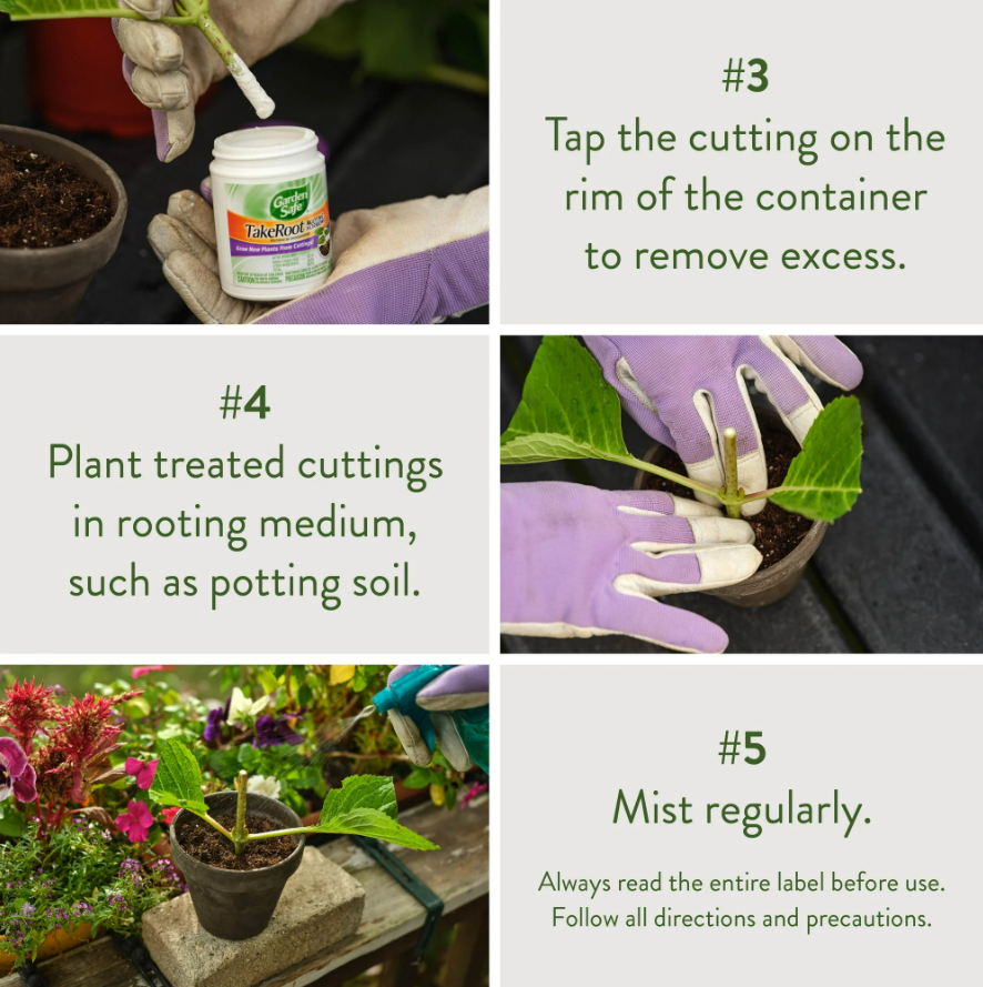 Garden Safe Take Root Rooting Hormone, 2-Ounce | eBay