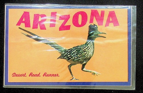 ARIZONA DESERT ROAD RUNNER STATE DECAL STICKER - EE-54 | eBay
