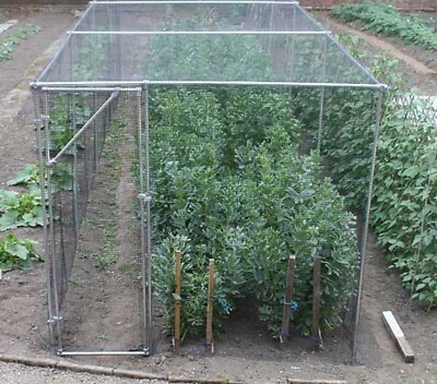 FRUIT & VEG CAGE / 2M x 2M x 2M MODULAR STEEL DESIGN / HIGH QUALITY ...