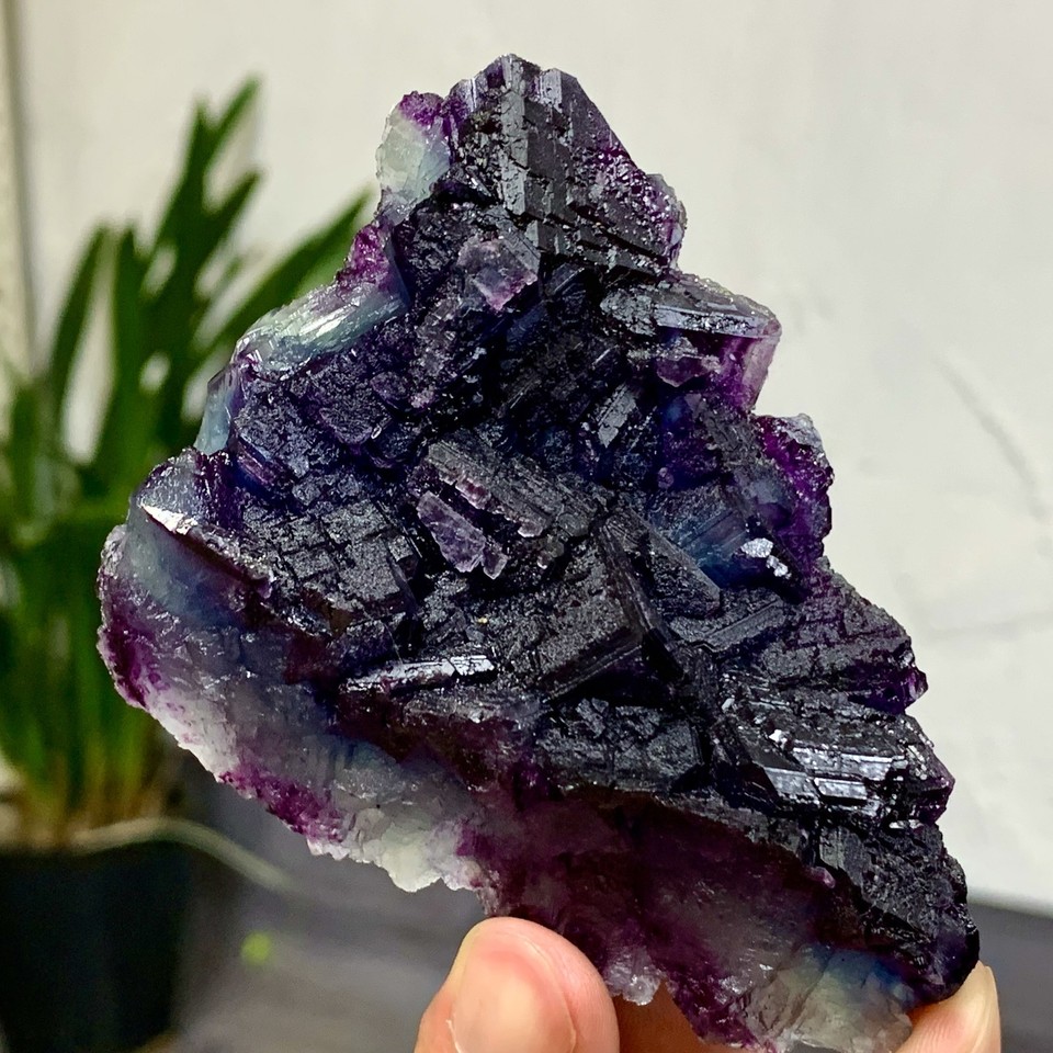 189G Rare Purple Blue Cubic Fluorite Mineral Crystal Sample/Zhejiang ...