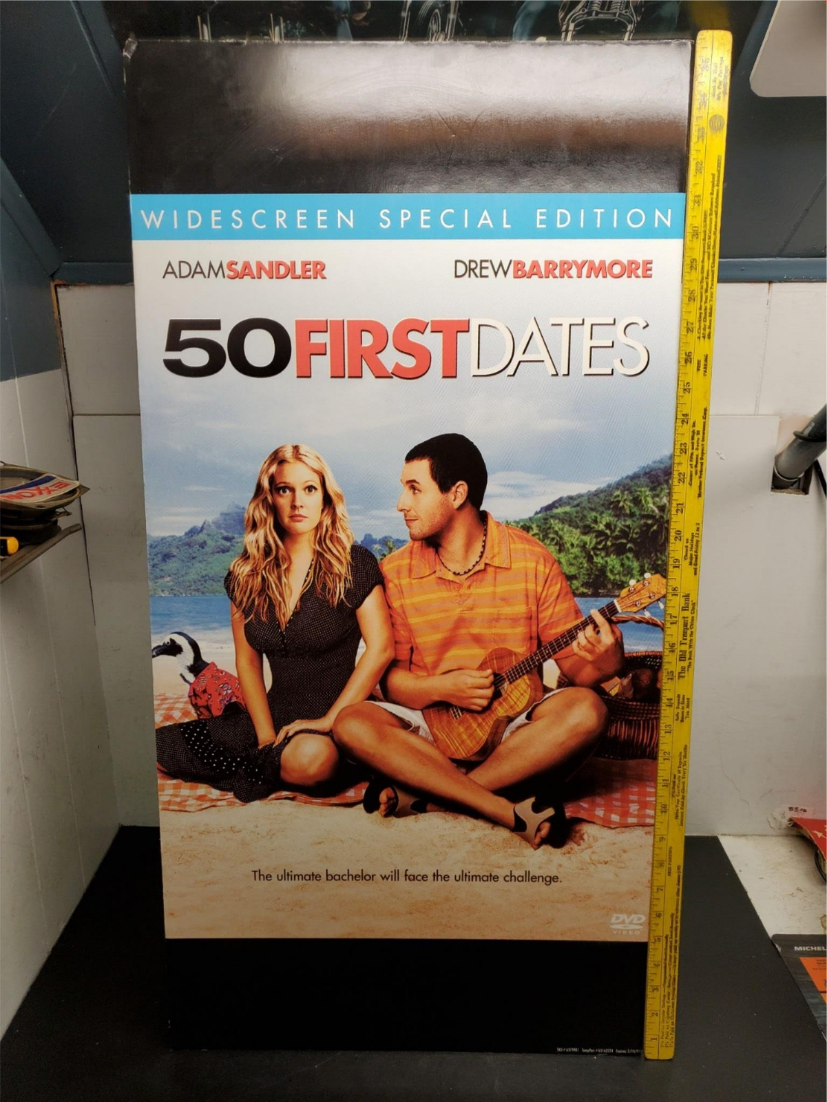 50 First Dates Poster