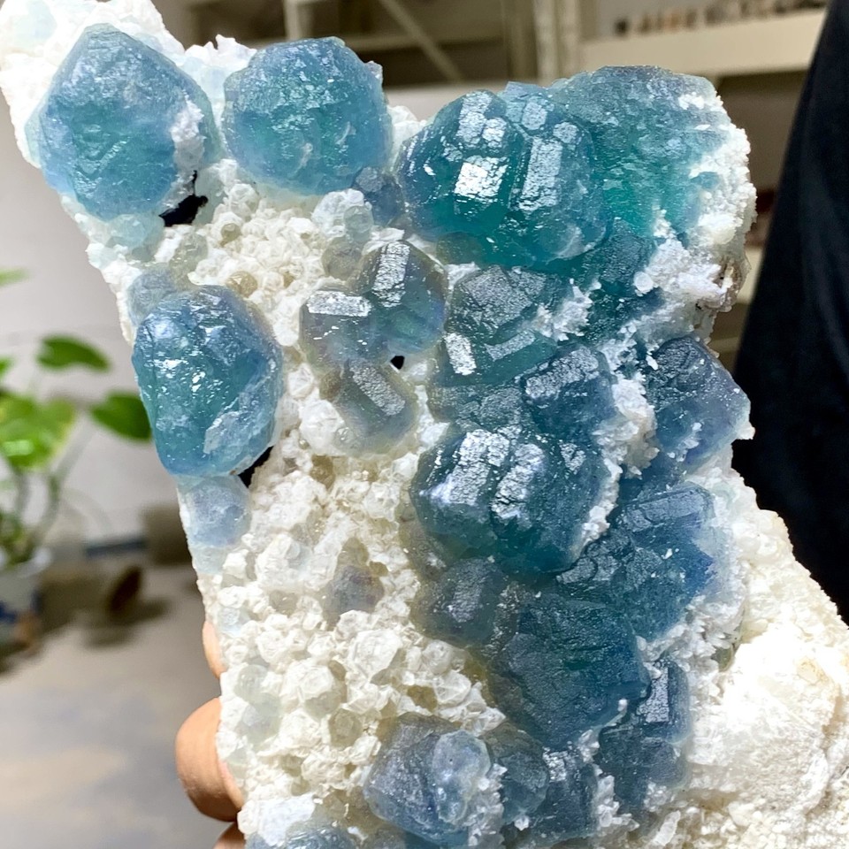 1.78LB Rare Blue Green cubic fluorite mineral crystal sample/Zhejiang ...