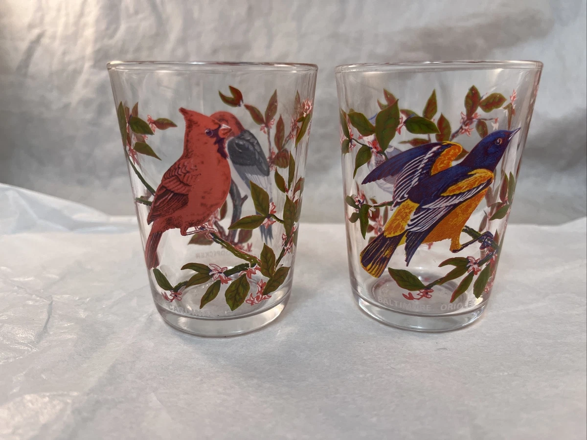 Blue Jay And Cardinal And Oriole