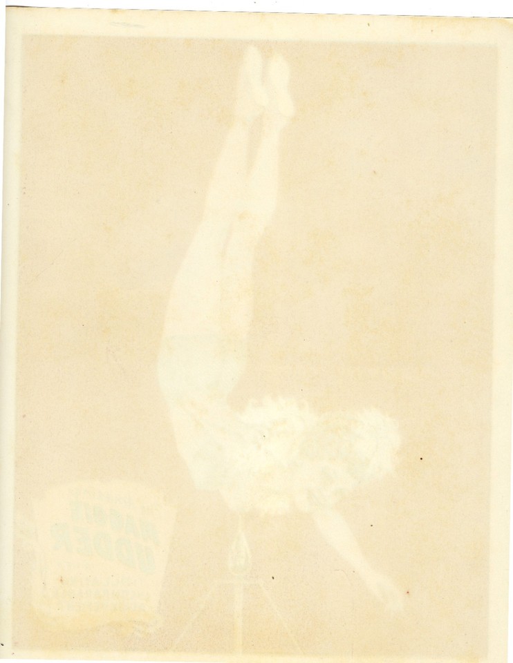 Freak Show Posters Retro Freakshow Creature Wall Art Circus Art Maggie ...