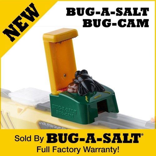 Authentic BUG-A-SALT BUG-CAM **DIRECT FROM MANUFACTURER** | eBay