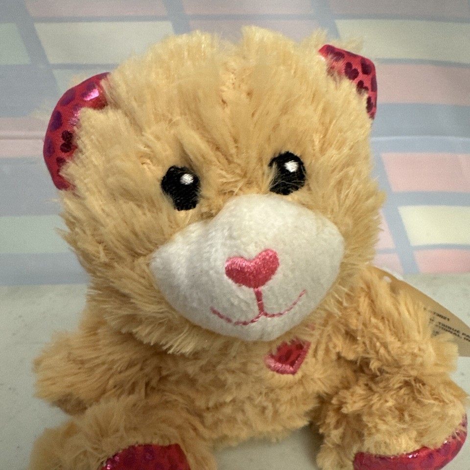 Small Pink Fluffy Valentine Teddy Bear Plush Embroidered Eyes Love ...