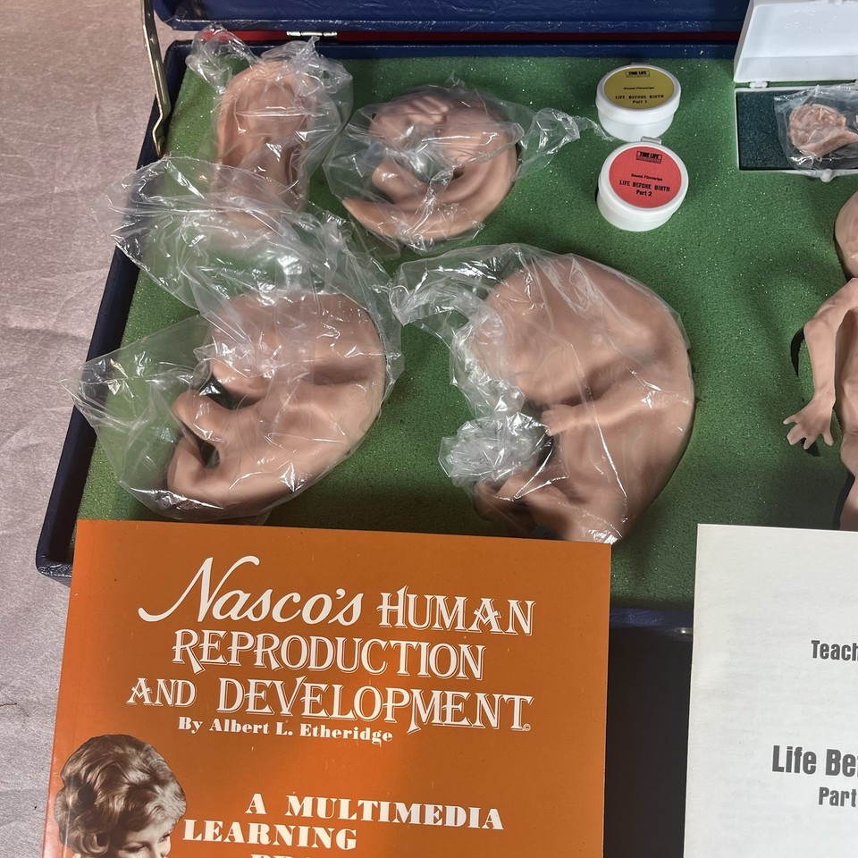 Vintage Nasco Life/Form replica human reproduction Kit Complete Set | eBay