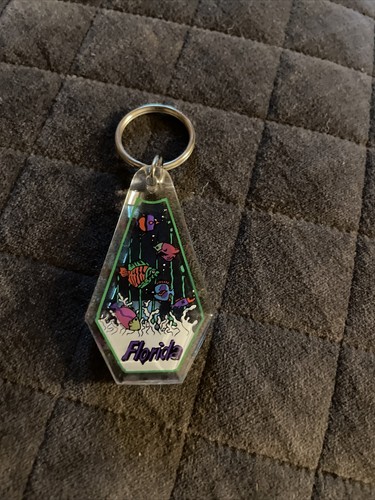 florida keychain | eBay