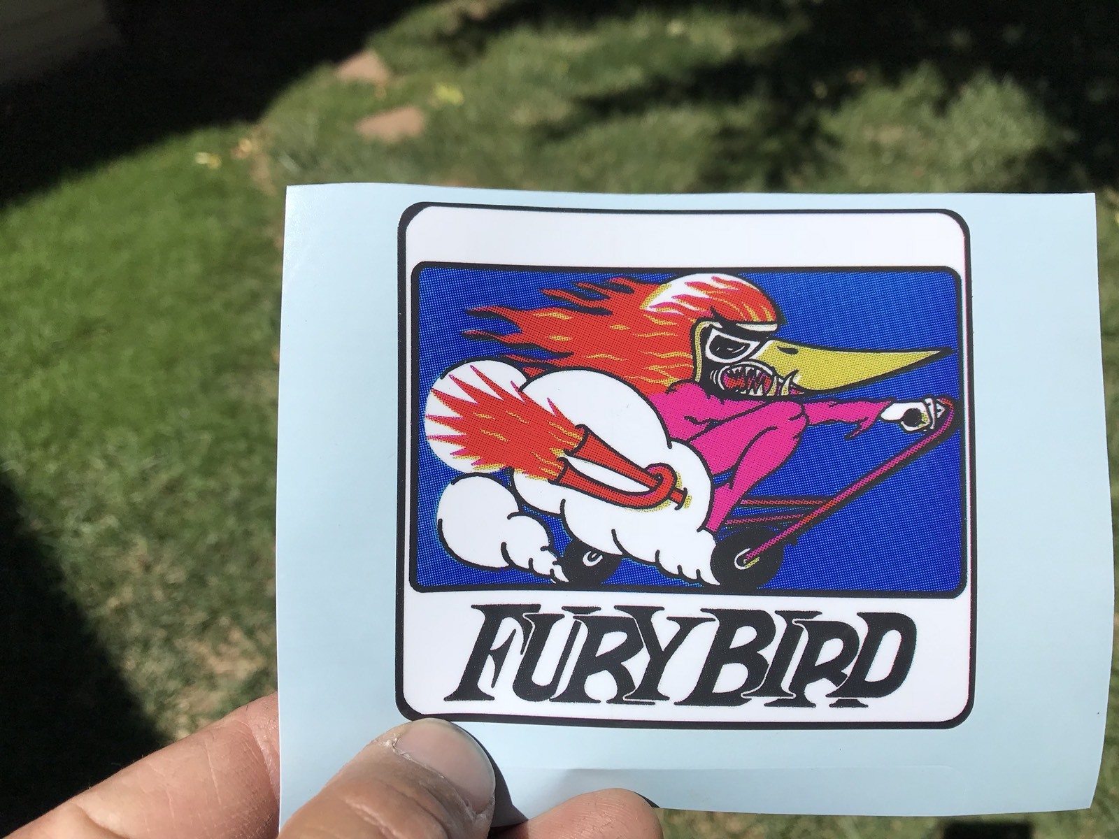 Fury Bird FuryBird mini bike minibike decals stickers | eBay