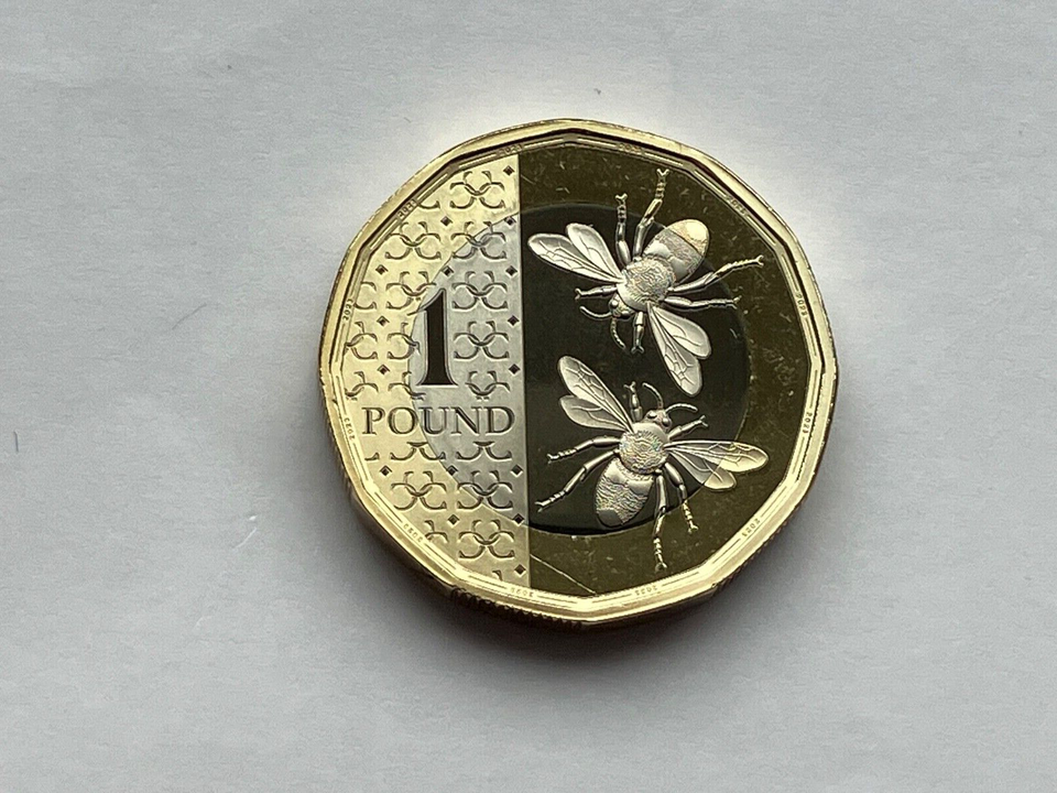 2023 PROOF 1 ONE POUND BEES COIN SPECIAL PRIVY IN HAND SOLD OUT ...