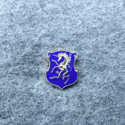 Military Hat Pin: U.S. Army 6th Cavalry Regiment Crest Pin [1-1/8"] | eBay