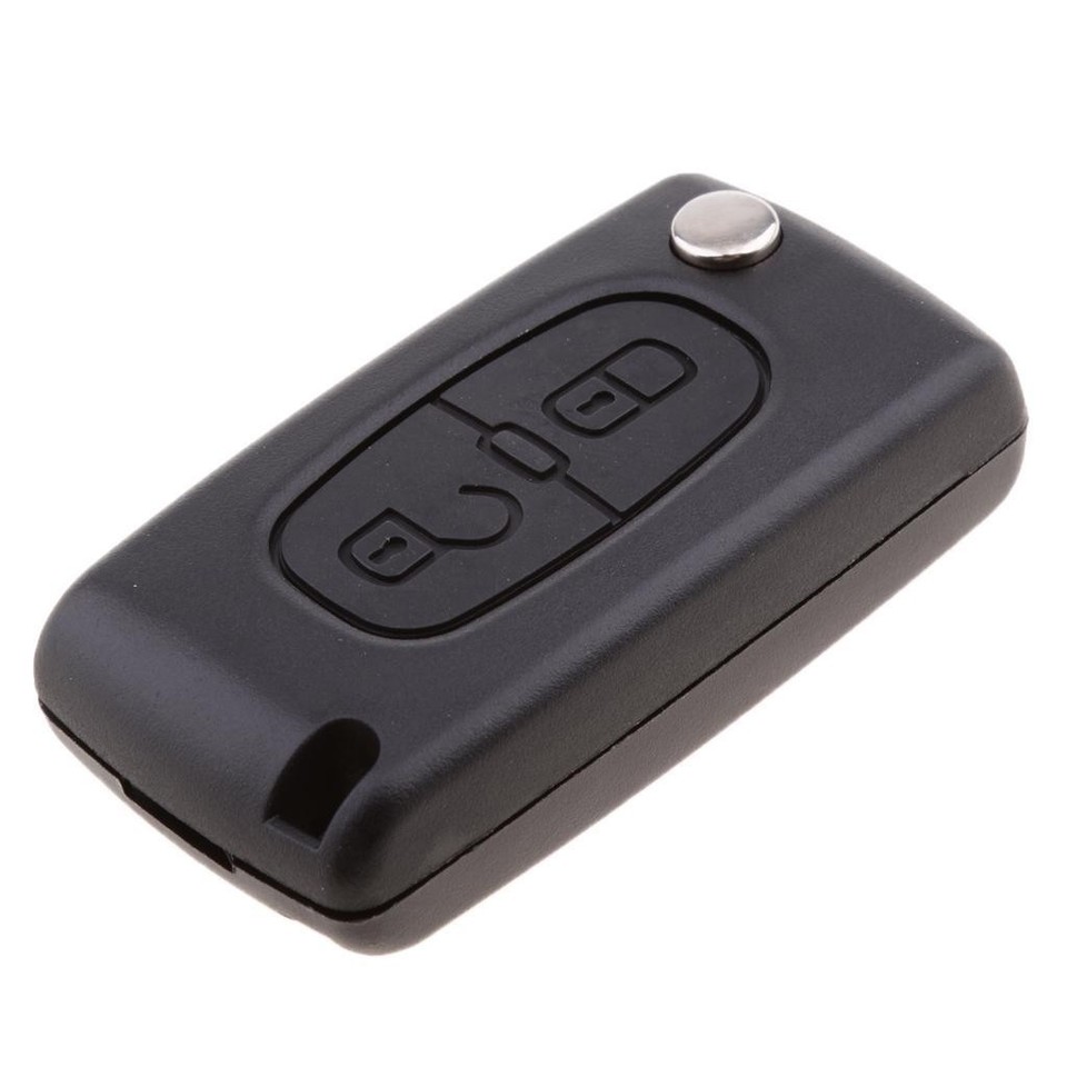 Car 2-Button Remote Key Fob ID46 Chip | eBay Australia