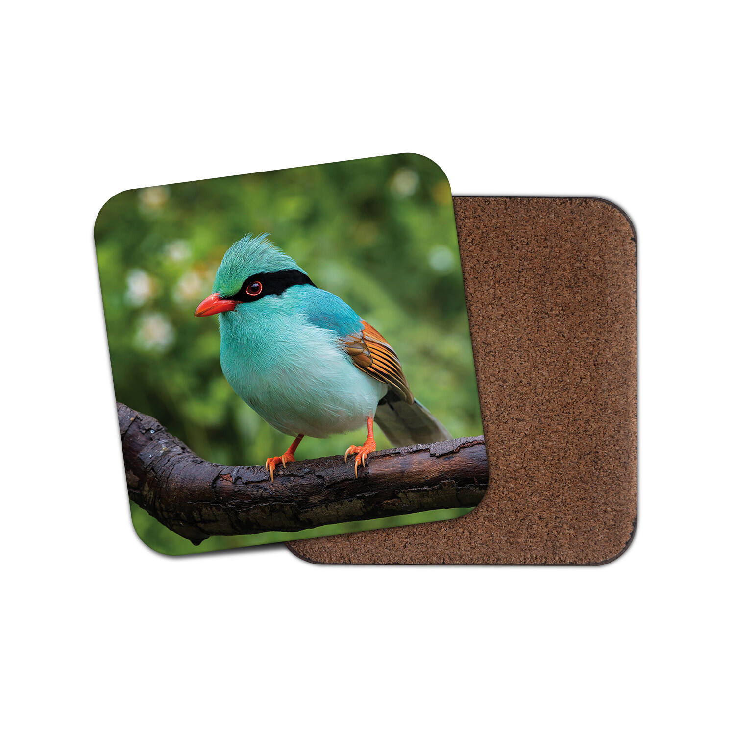 Indochinese Green Magpie Coaster - Bird Emerald Asia China Nature Gift ...