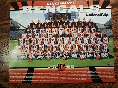 2008 CINCINNATI BENGALS NFL FOOTBALL 8X10 TEAM PHOTO | eBay