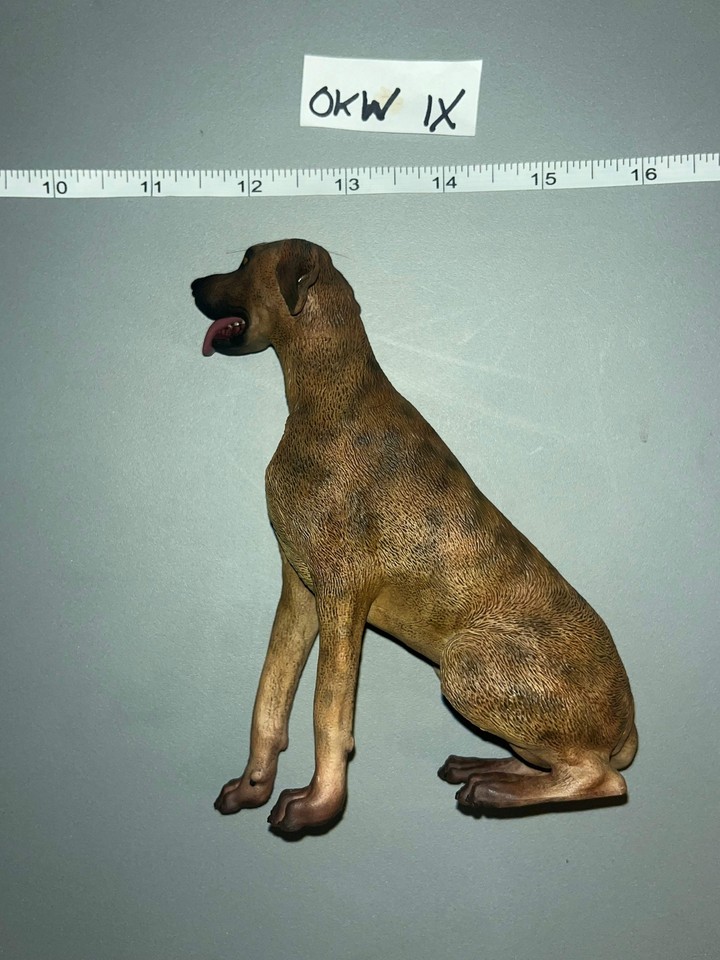 1/6 Scale World War One German Dog - Red Baron Facepool | eBay