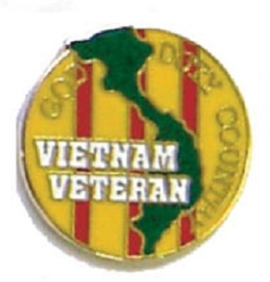 MILITARY HAT LAPEL PIN - VIETNAM VETERAN PIN - NEW | eBay