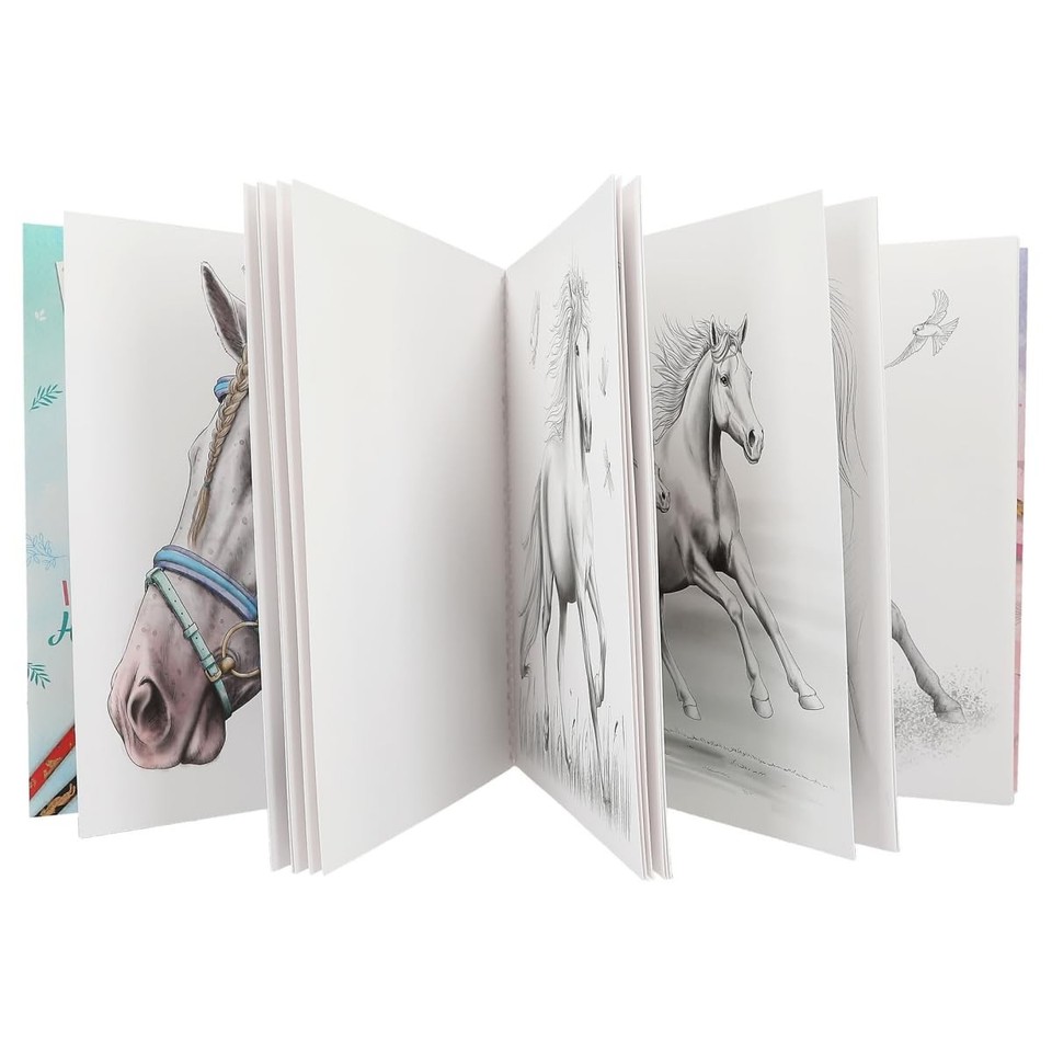 Depesche 12469 Miss Melody Special Colouring Book with 20 Dream ...