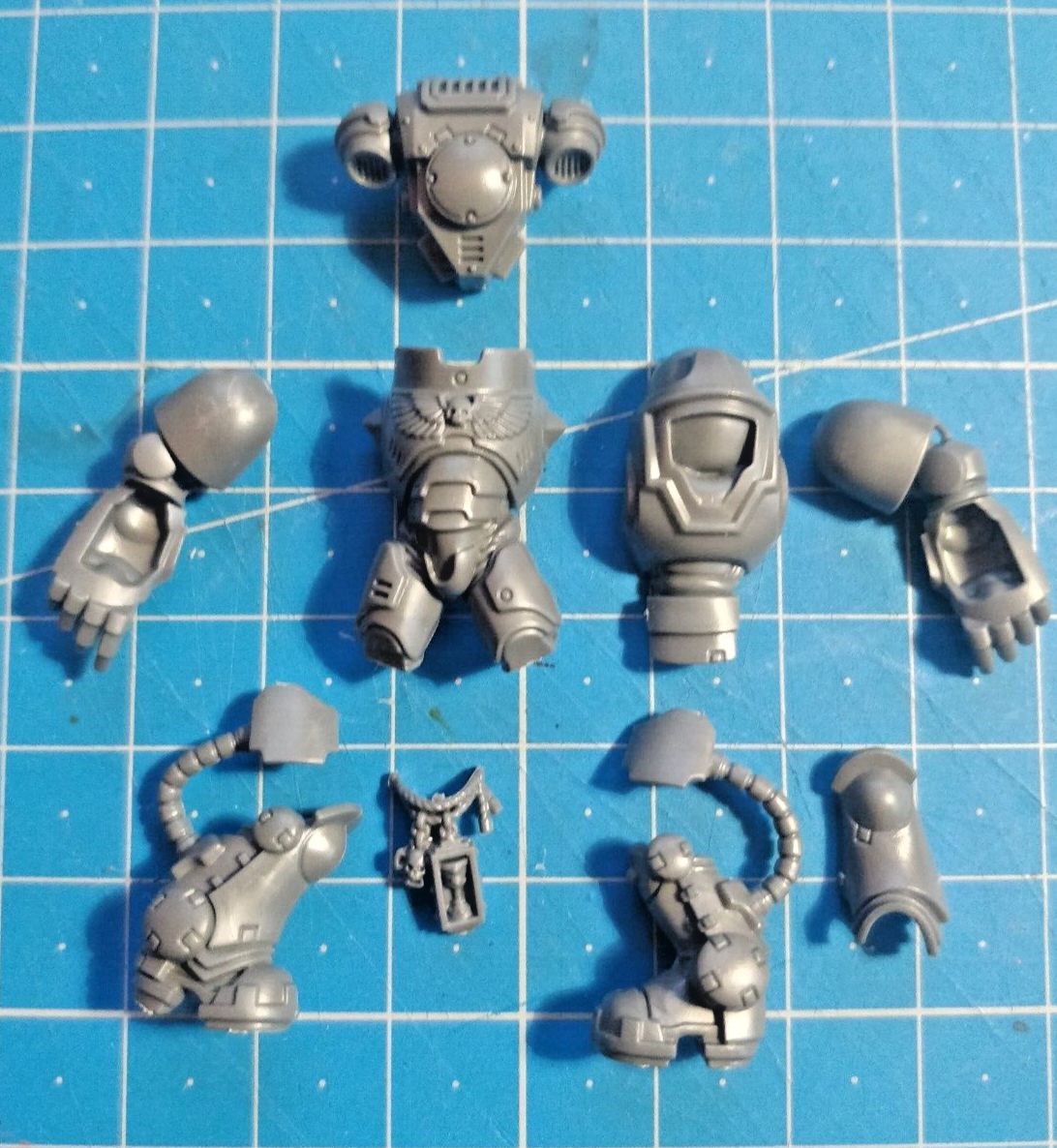 Aggressors Bits Body Torso Legs C Gravis 40k Space Marines Primaris ...