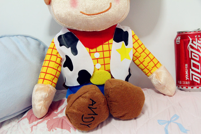 Disney Toy Story 3 Plush Toy WOODY Bean Bag Stuffed Doll Gift Japan | eBay
